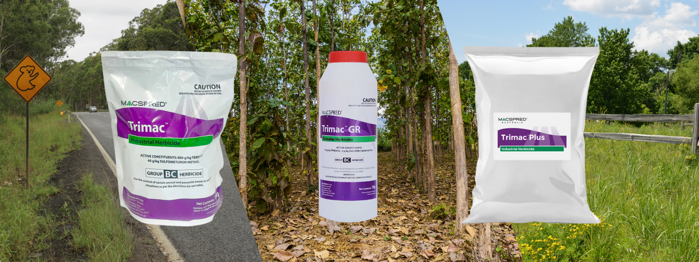 Greenway Weed Solutions - Blogs and Articles