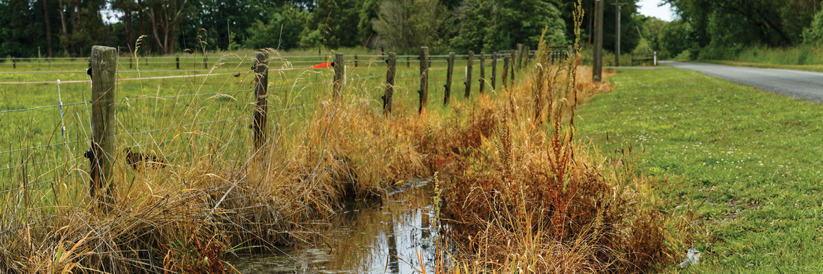 Understanding the Information on a Herbicide Label