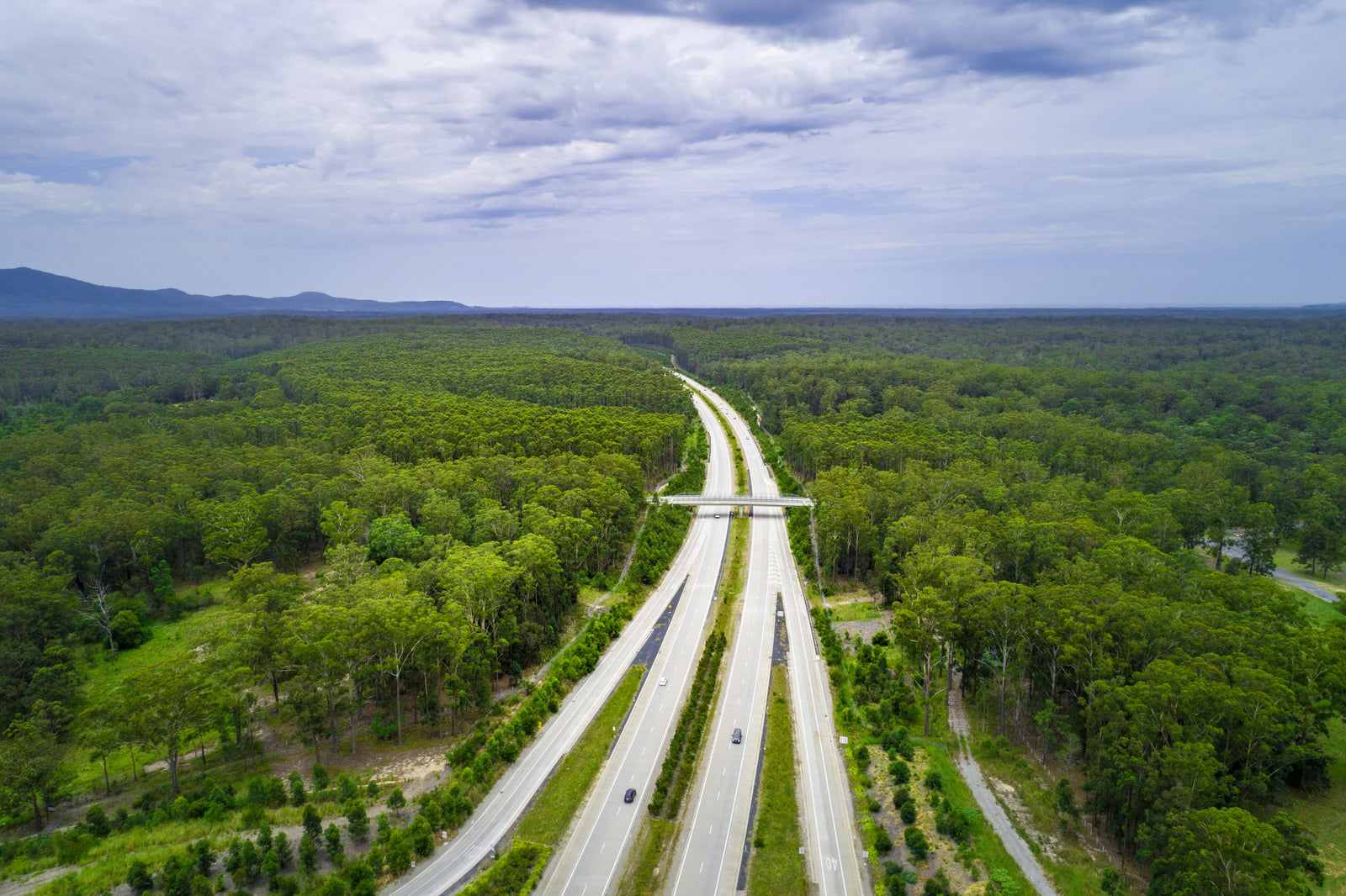 Case Study: Herbicide Resistance Management on Road Networks