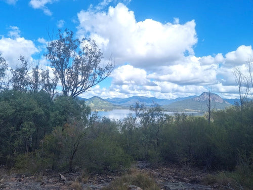 Envu Method 240SL 10L - Aminocyclopyrachlor