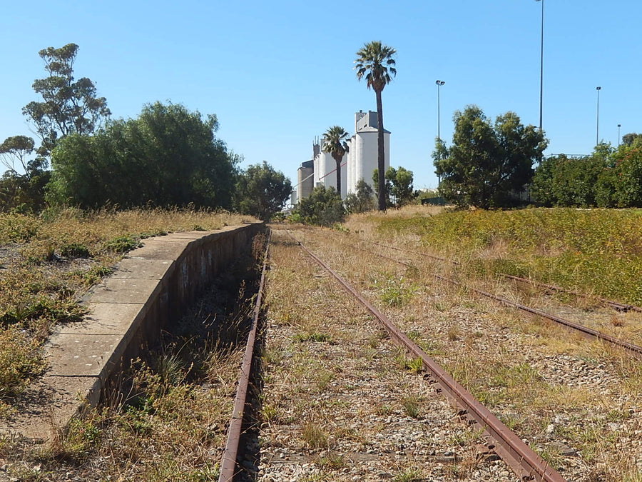 Vegetation Management for Weed Control on Australian Rail Networks